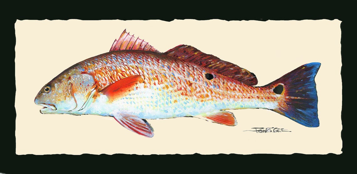 Red Fish Print Fish/ Ocean Art/fish Painting - Etsy