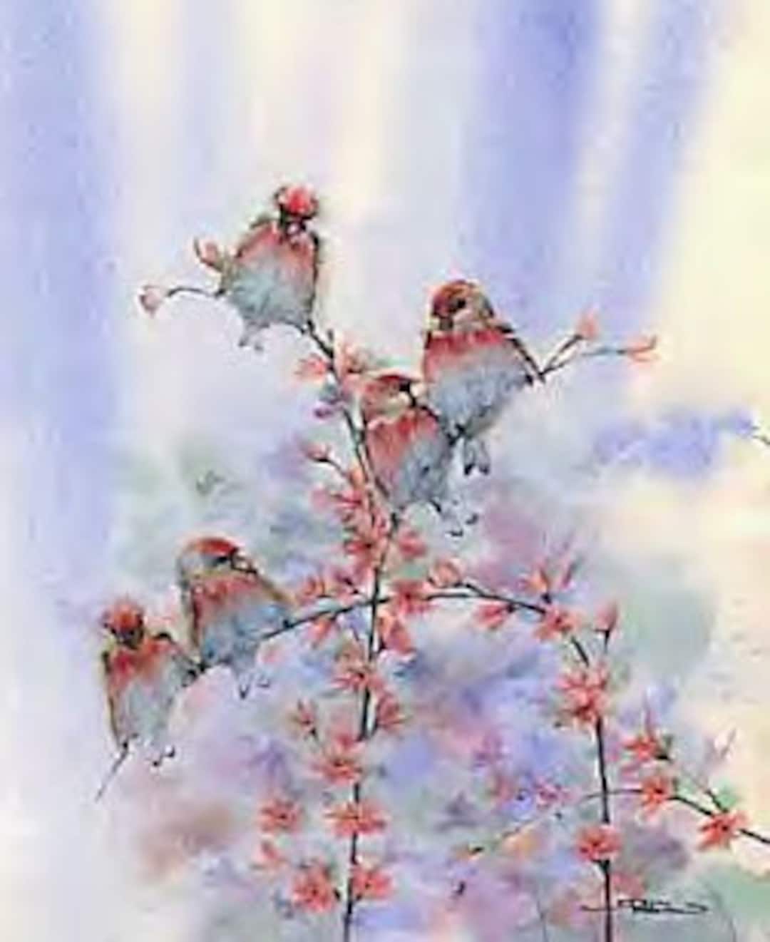 Constant Comment. Paintings of Birds Red Polls Songbirds Watercolor ...