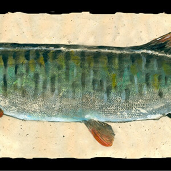 Muskie - Etsy