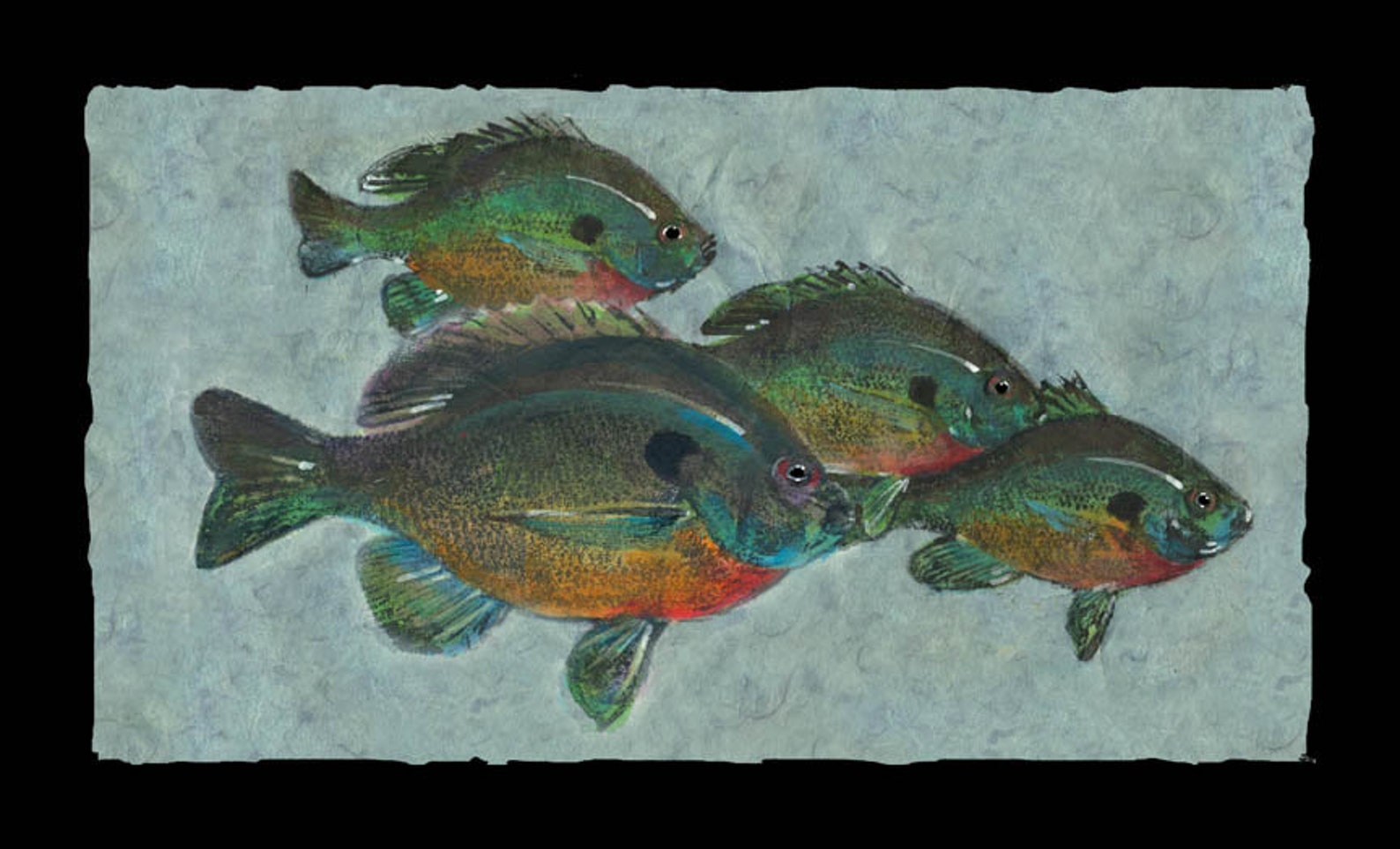 Bluegill School. Gyotaku Prints, From Rubbings of Real Fish Bluegills ...