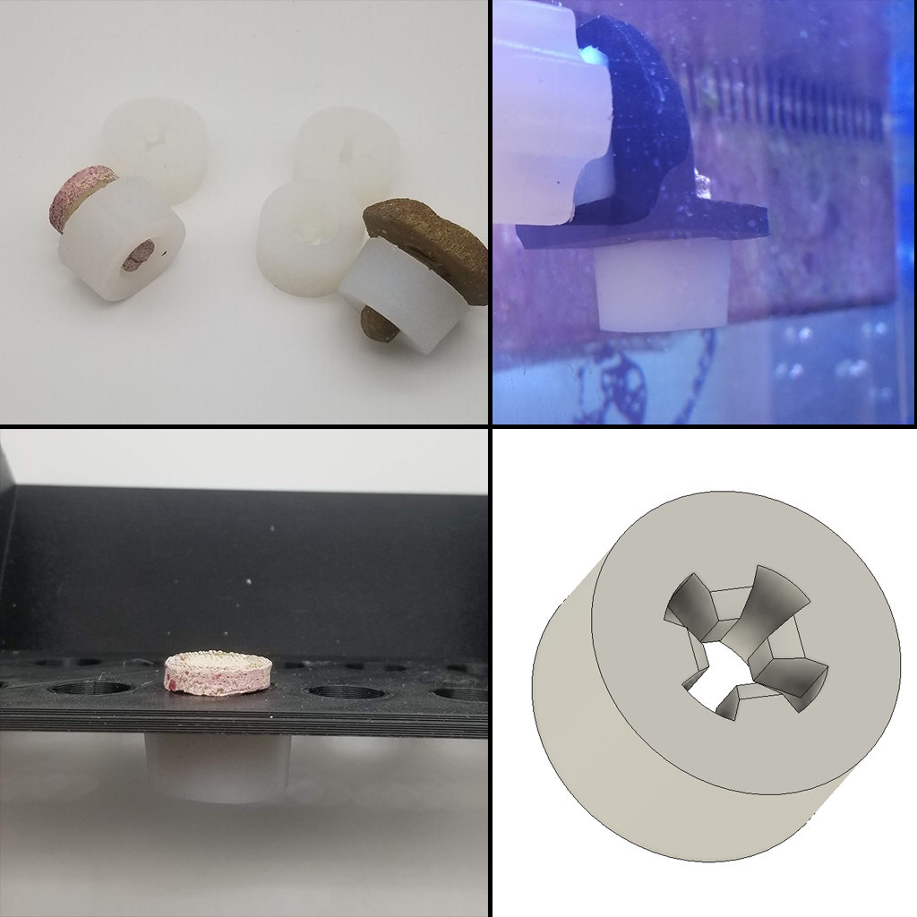 Magnetic Frag Rack - 11 Spots - Etsy