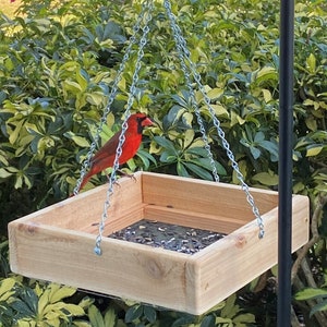 Platform Tray Bird Feeder - Etsy