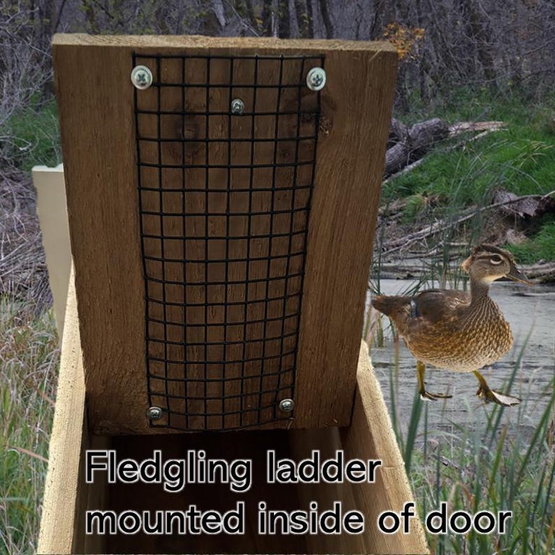 Wood Duck House | Cedar | Insulated | Predator Guard | Weatherproof - Etsy