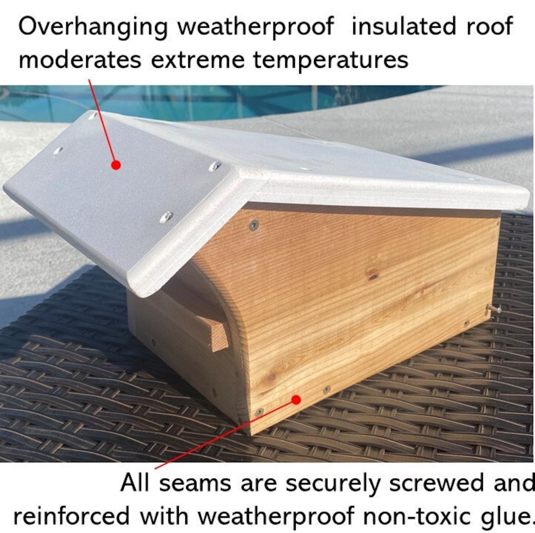 Swallow House Swallow Nest Box Etsy