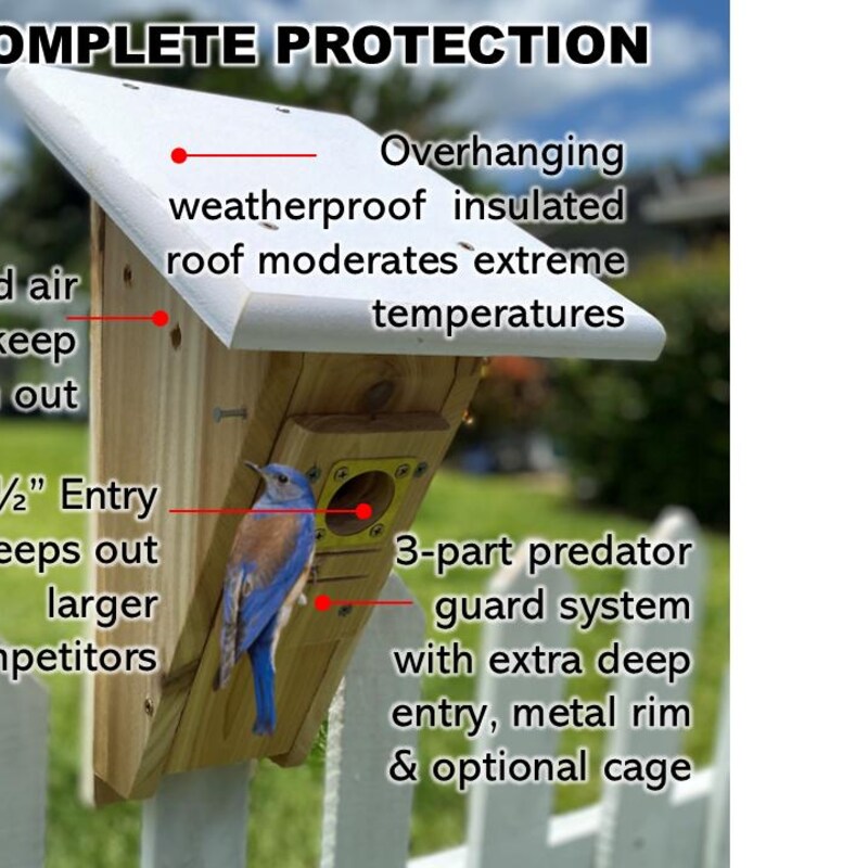 Bird House Predator Guard - Etsy
