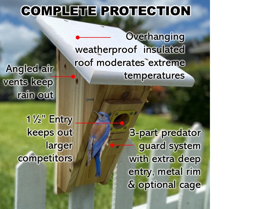 Peterson Bluebird House Peterson Bluebird House The Birdwatchers