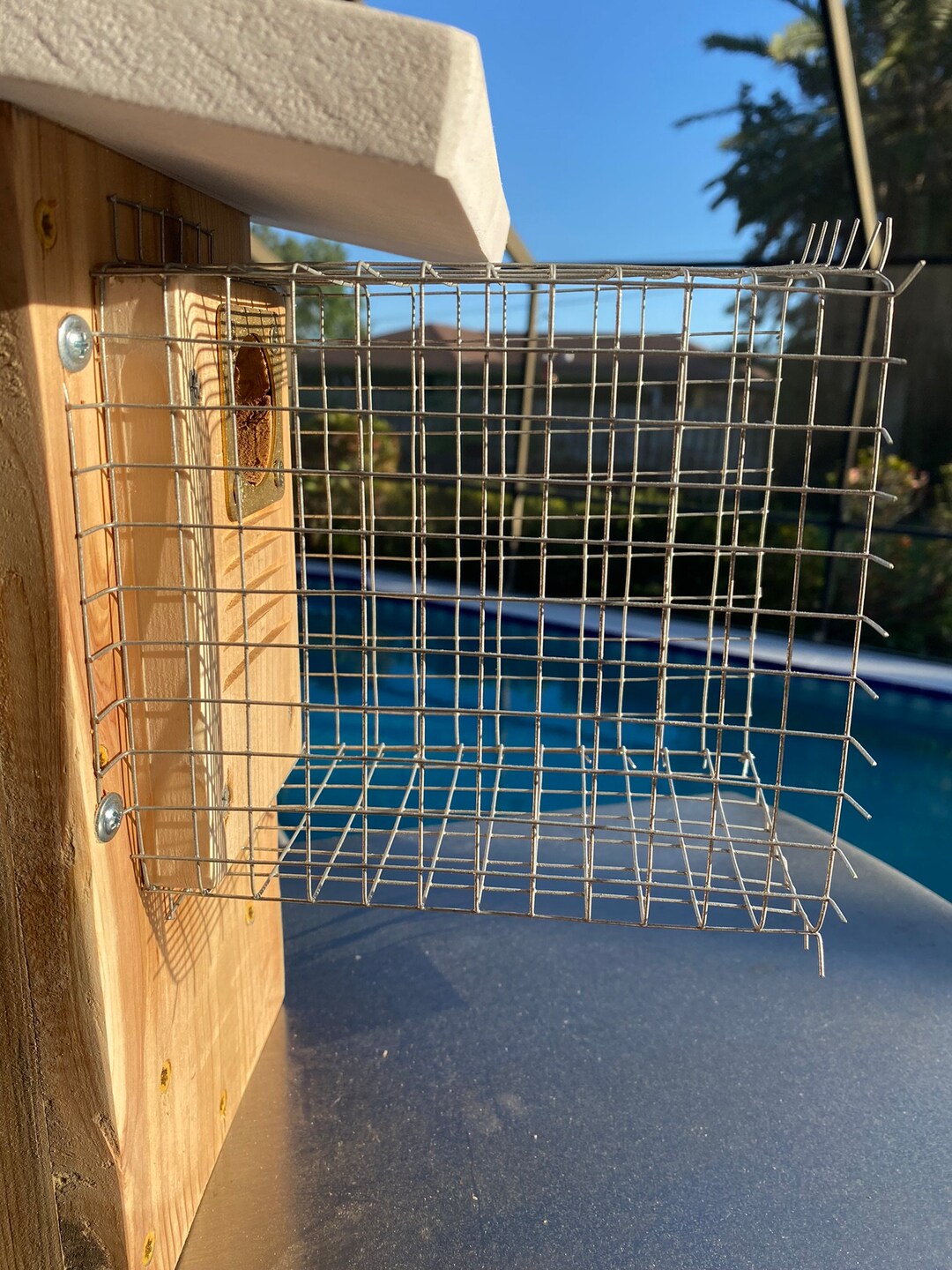 Birdhouse Predator Guard | Noel Style - Etsy