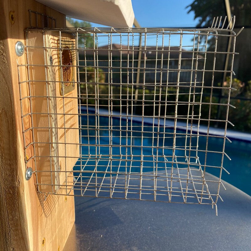 Bird House Predator Guard - Etsy