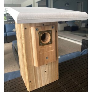 Wren House Cedar Insulated Predator Guard Weatherproof - Etsy