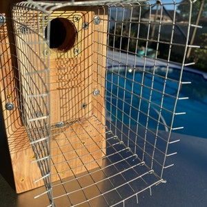 Birdhouse Predator Guard | Noel Style - Etsy