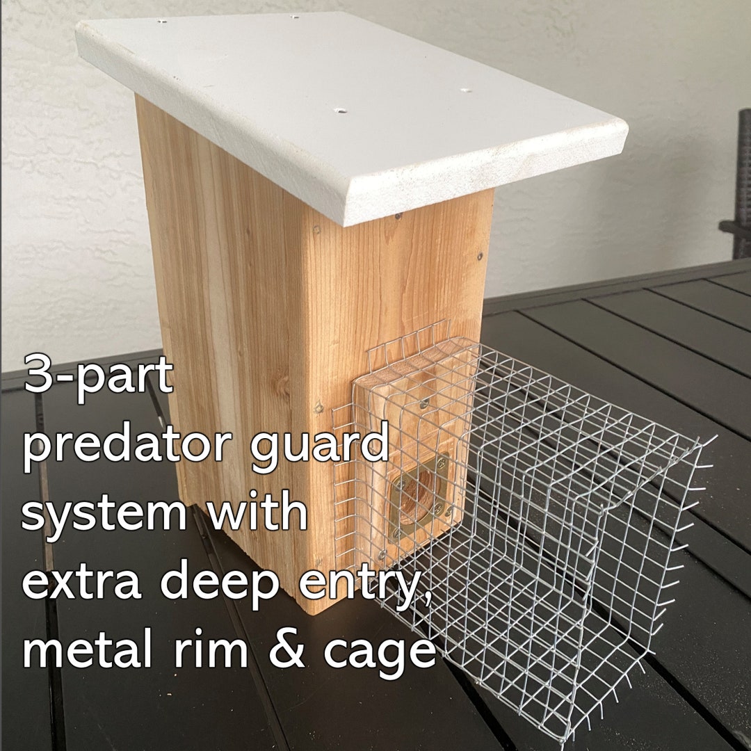 Insulated Roost Box for Songbirds Cedar Predator Guard Weatherproof - Etsy