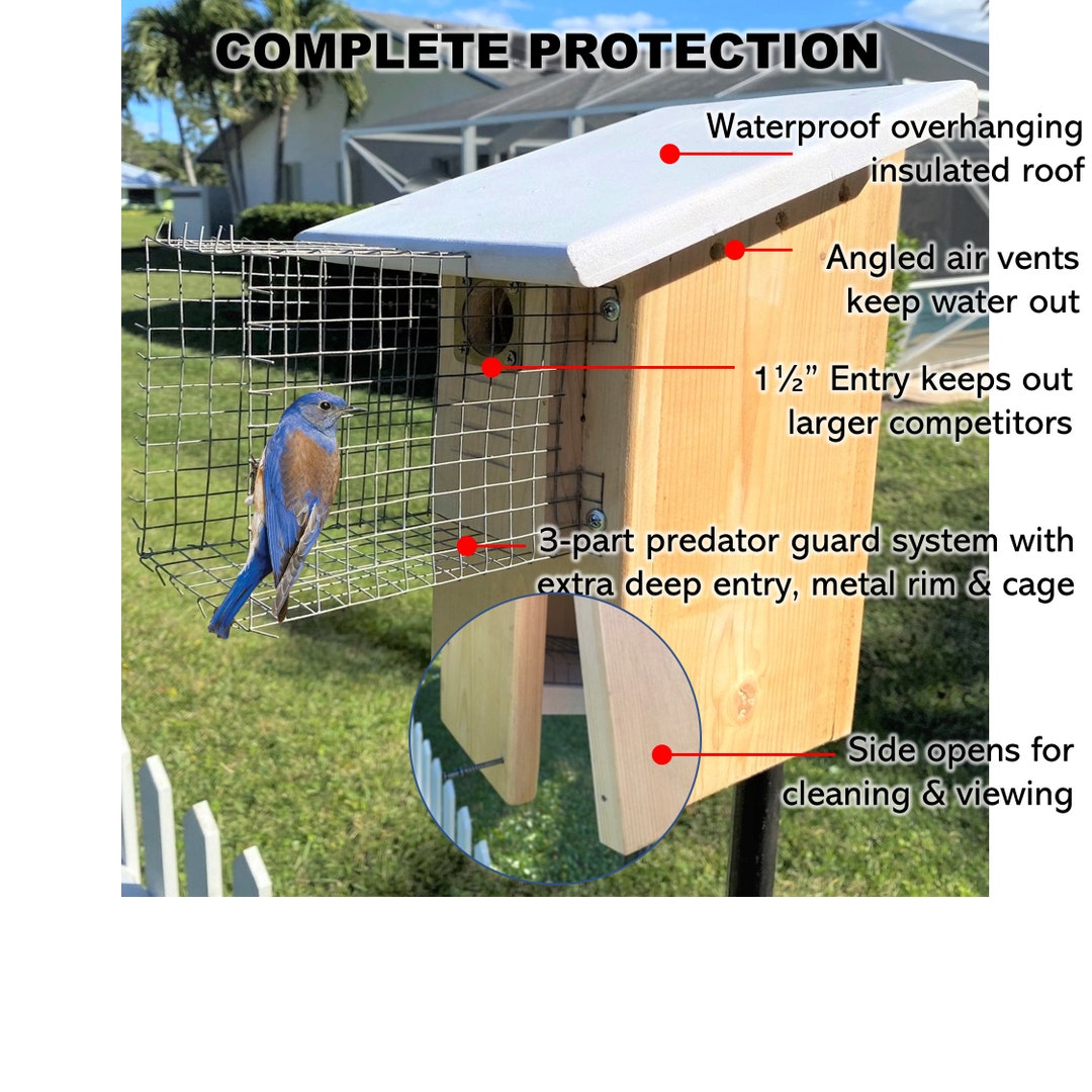 Hoverman Bluebird House | Cedar | Insulated | Predator Guard ...