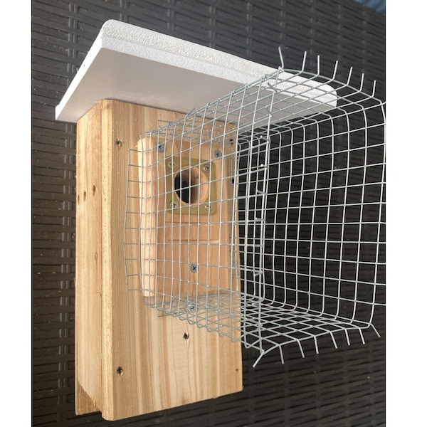 Bird House Predator Guard - Etsy