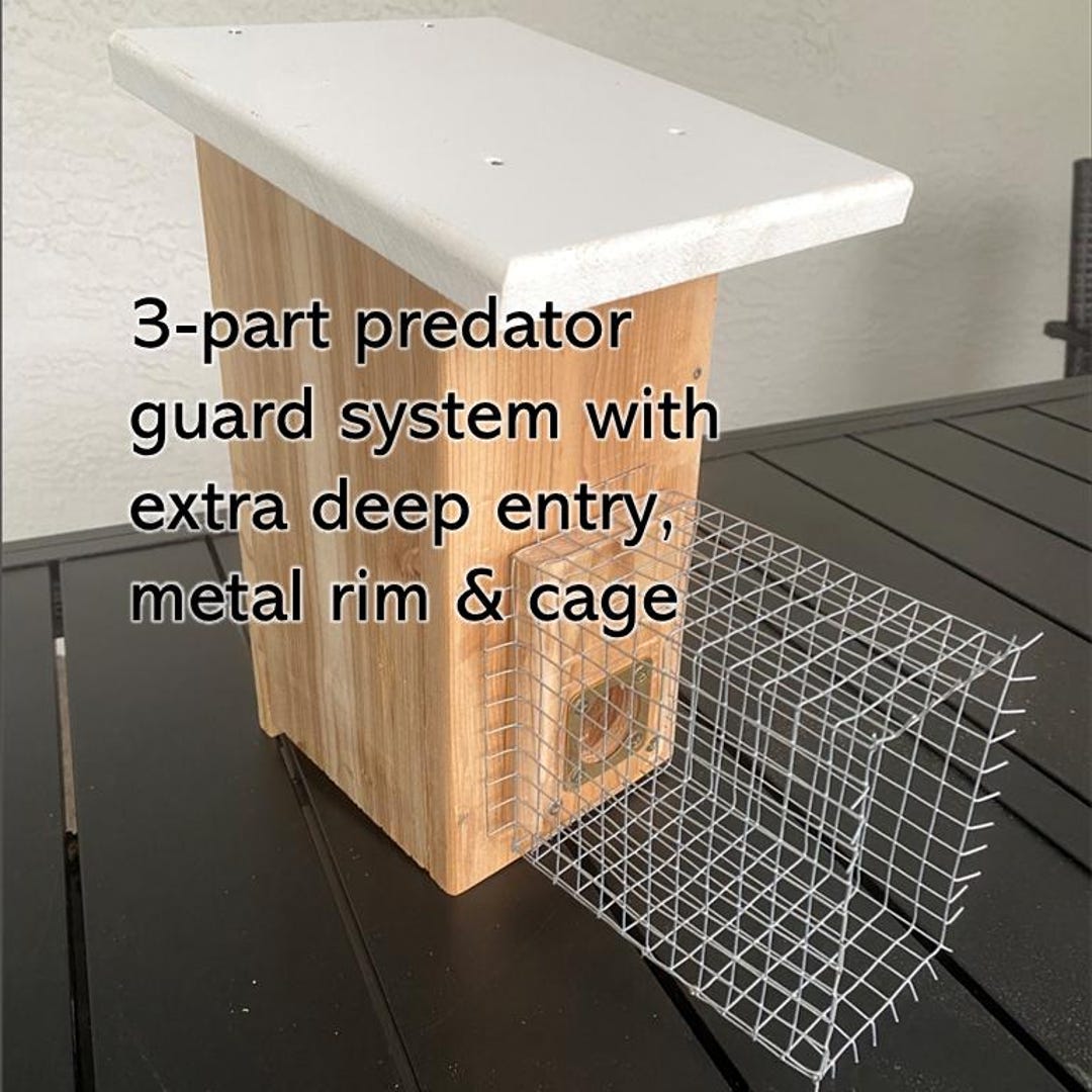 Insulated Roost Box for Songbirds | Cedar | Predator Guard ...