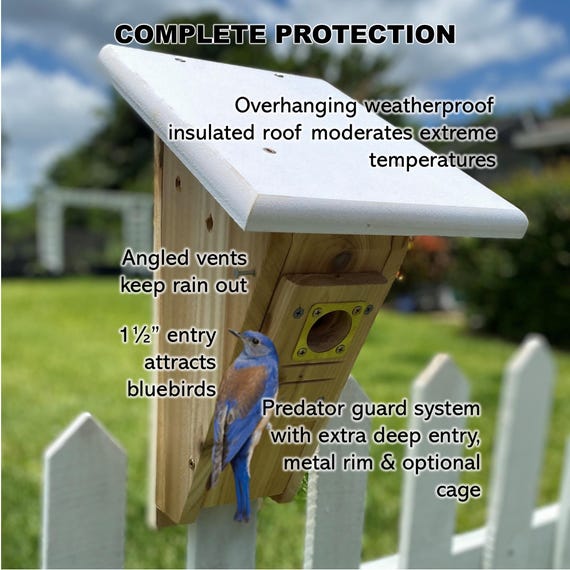 Peterson Bluebird House