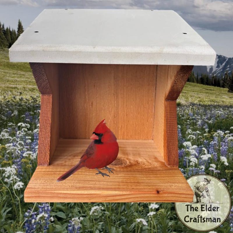 Robin Bird House - Etsy