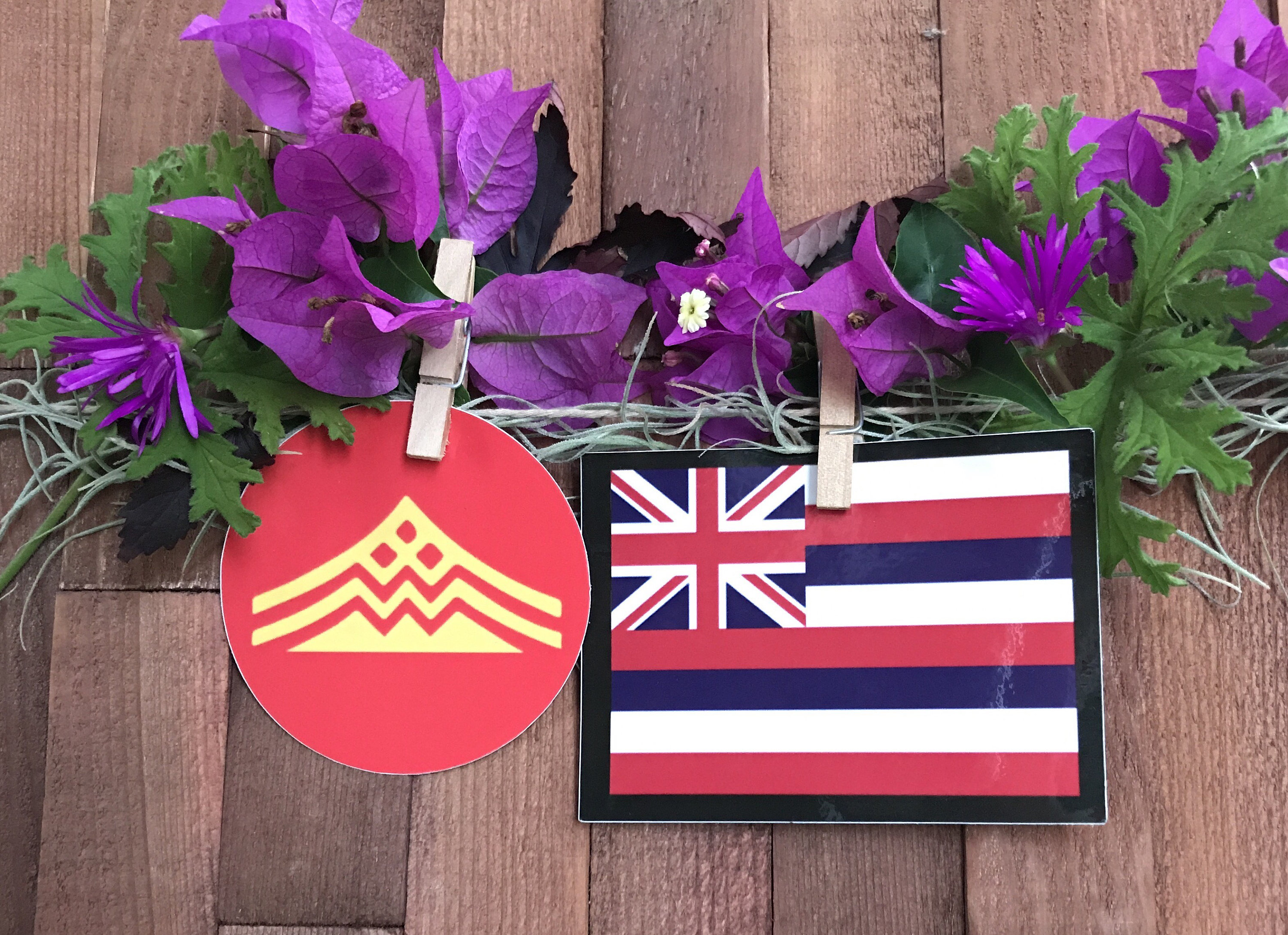 Hawaiian Flag Vinyl Sticker - Etsy