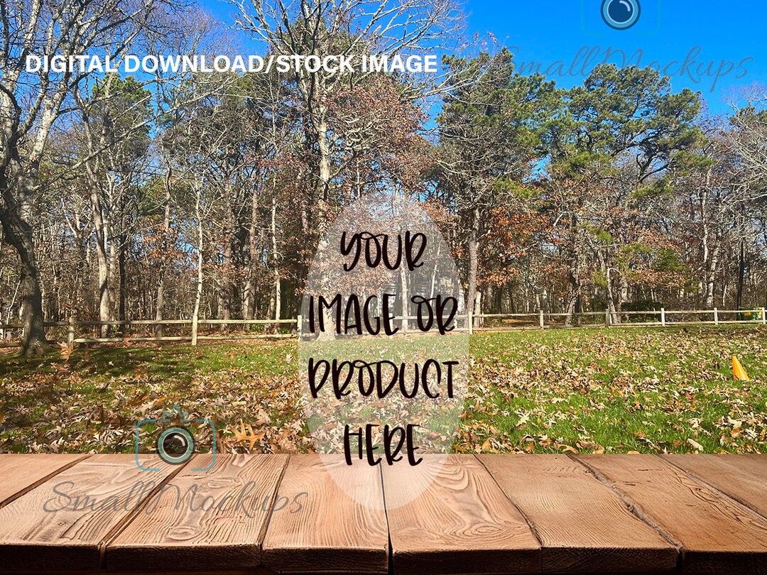 Background Mockups Product Display Mockup Background Styled Stock ...
