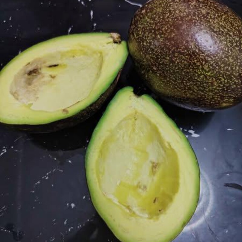 Avocado Party - Etsy