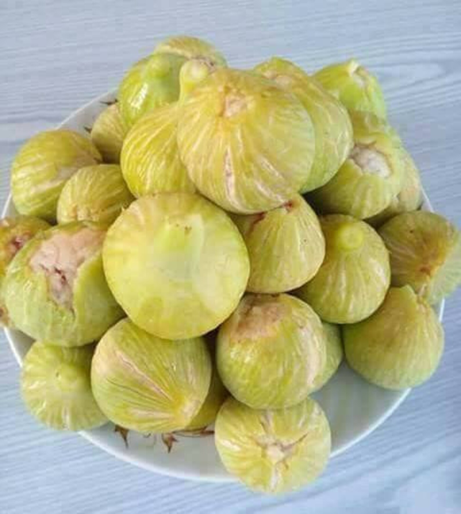 2x Cosme Manyo Fig Tree Cuttings Unique Collection Grow Your Own Figs ...