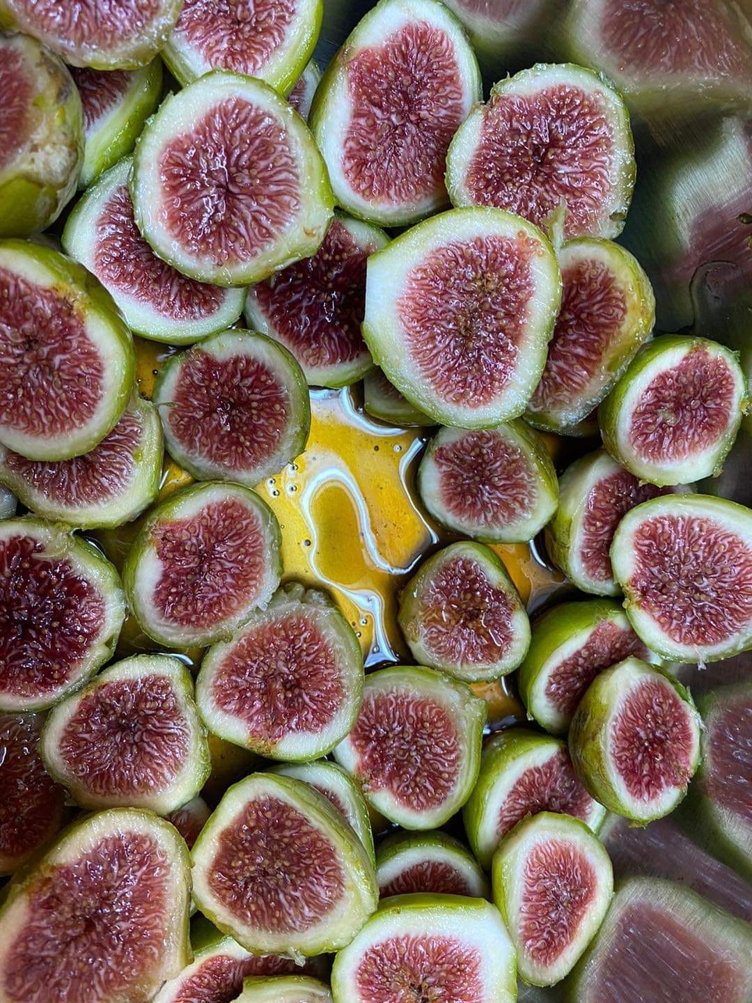 X2 Sucrette Fig Tree Cuttings Self Fertile - Etsy