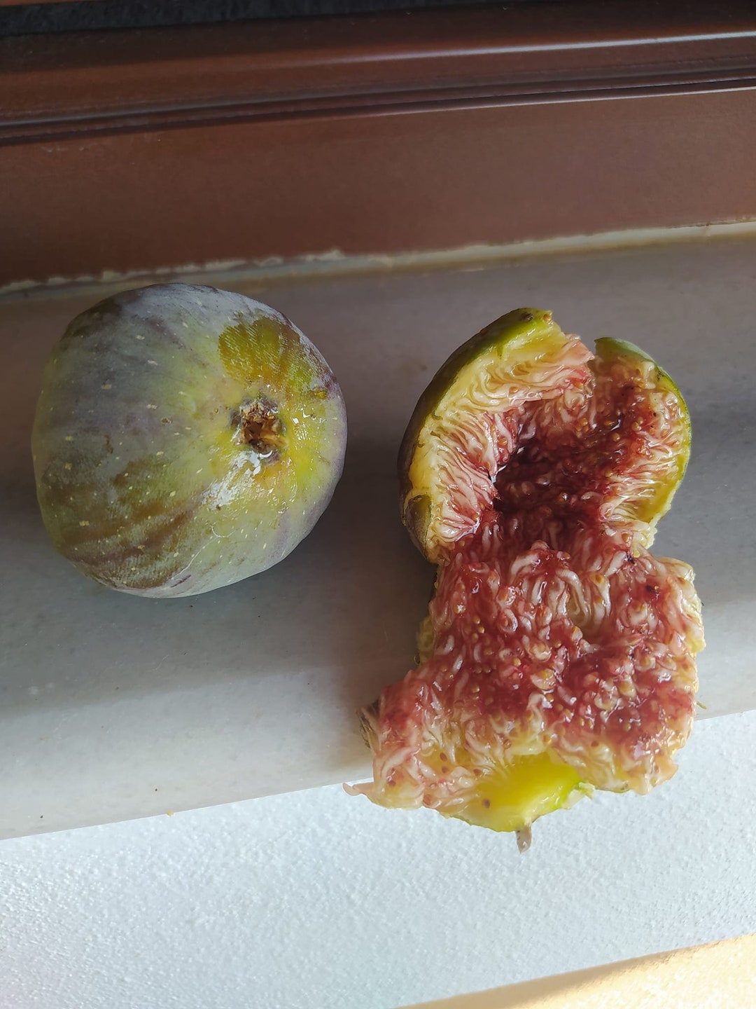 2x Burgan Fig Tree Cuttings Unique Collection Grow Your Own Figs - Etsy