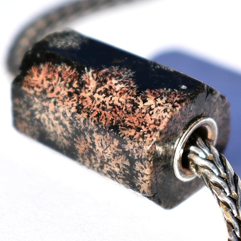 Barrel Black Coral - Etsy