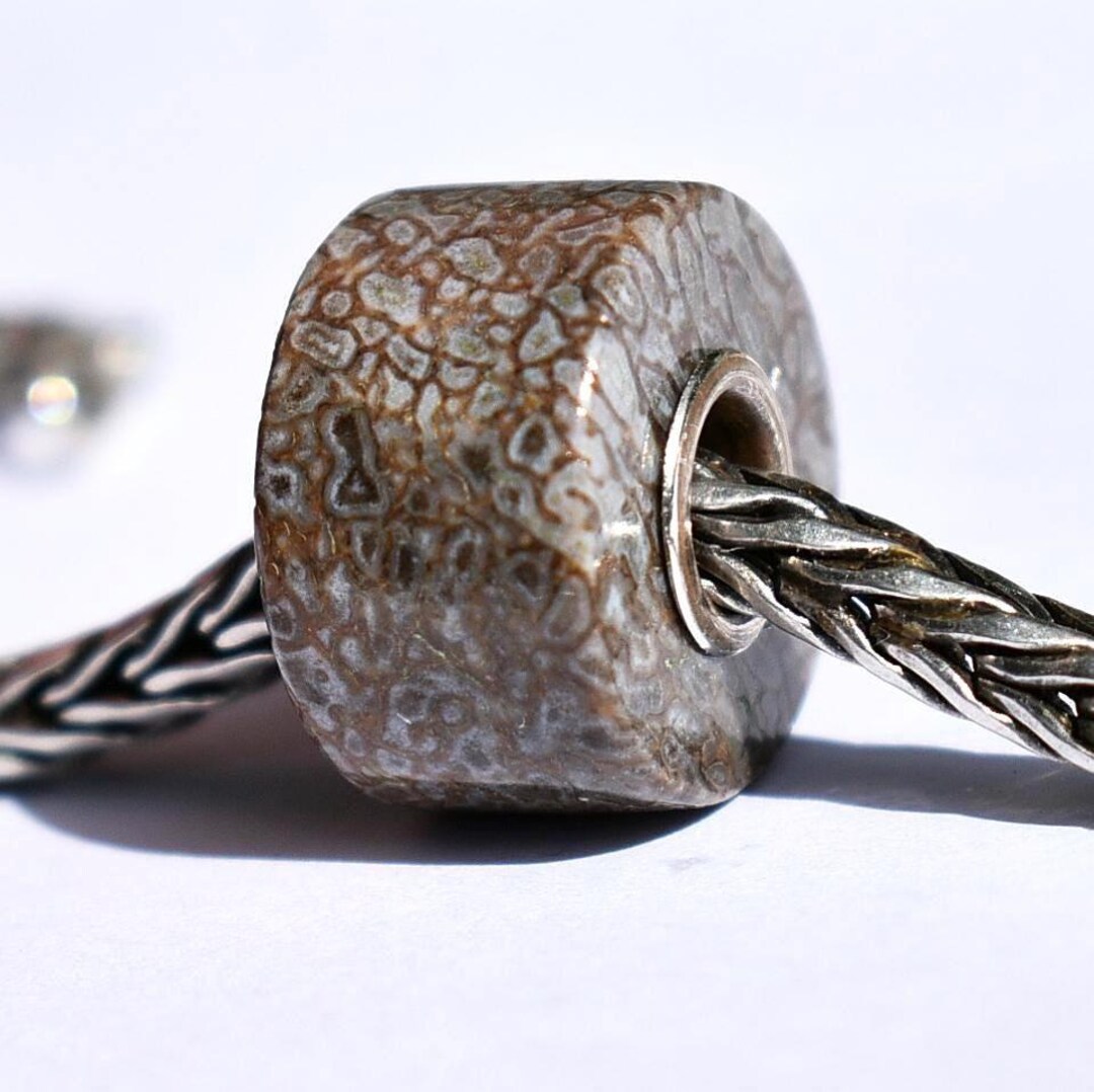 Dinosaur Bone Fossil Smooth Wheel - Semi-precious Gemstone Charm Bead ...