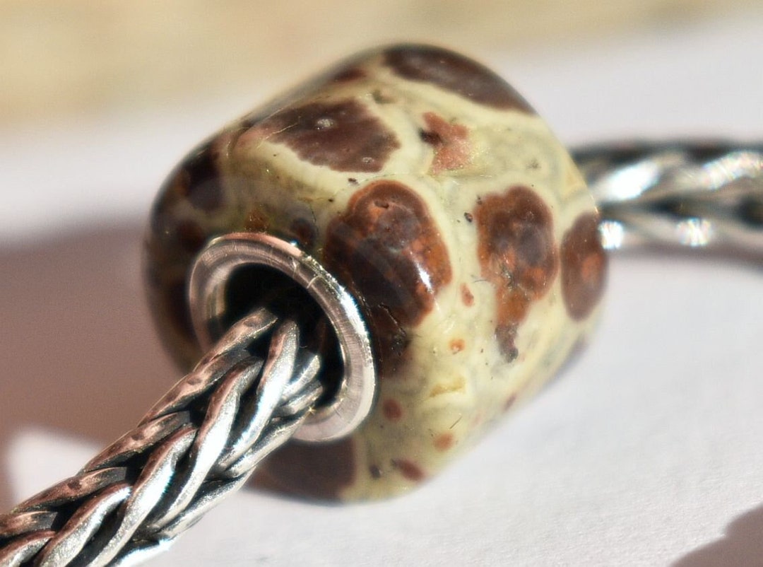 Dinosaur Bone Fossil Smooth Small Wheel Semi-precious - Etsy