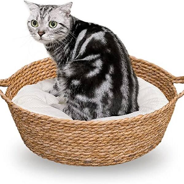 Cat Bed - Etsy