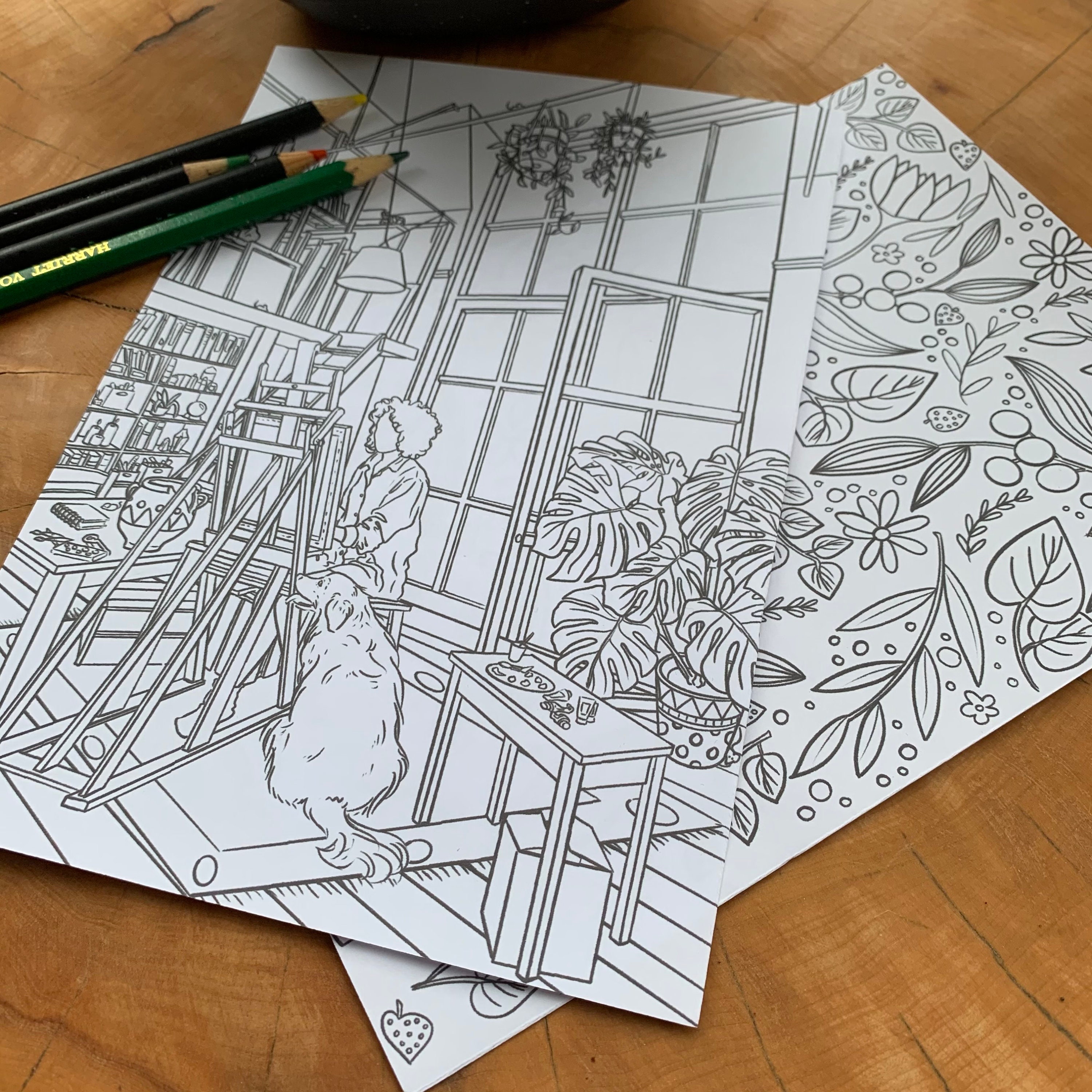 Colouring Pages - Cosy Botanical Scenes - Etsy