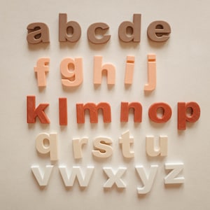 Lowercase Earth Tone Alphabet Fridge Magnets, Montessori, Functional ...