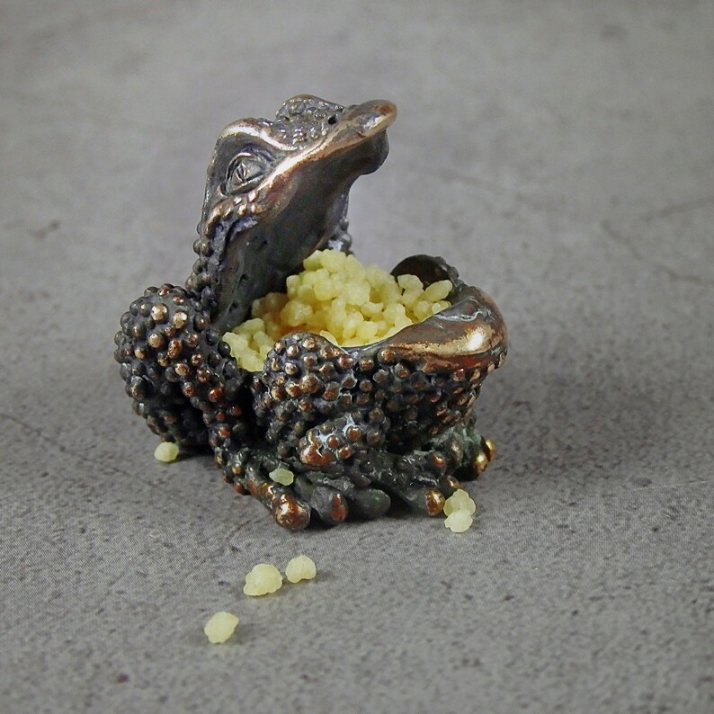 Tiny Casket frog Miniature Designer Bronze Box - Etsy
