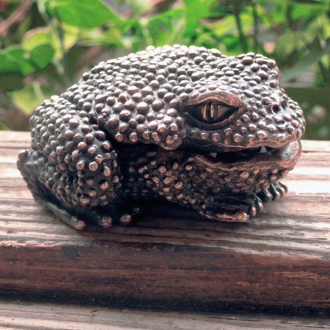 Ashtray frog Designer Casket With Magnet Lid - Etsy