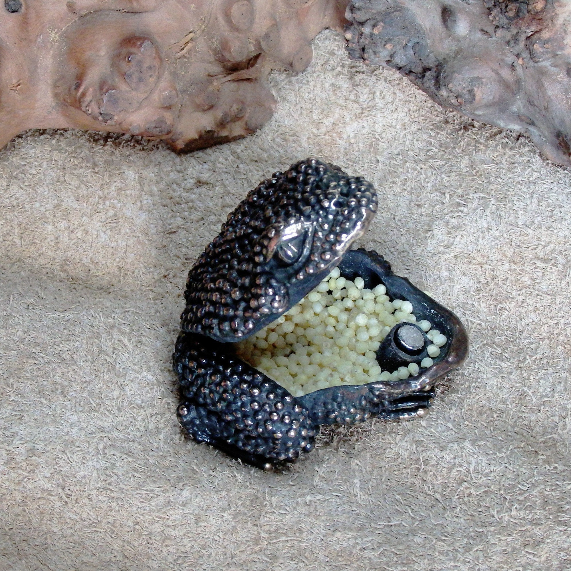 Ashtray frog Designer Casket With Magnet Lid - Etsy