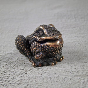 Tiny Casket frog, Miniature Designer Bronze Box, Funny Fengshui Money ...