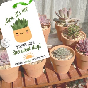 PRINTABLE Aloe Real Estate Pop by Tags, Plant Gift Succulent Favor ...