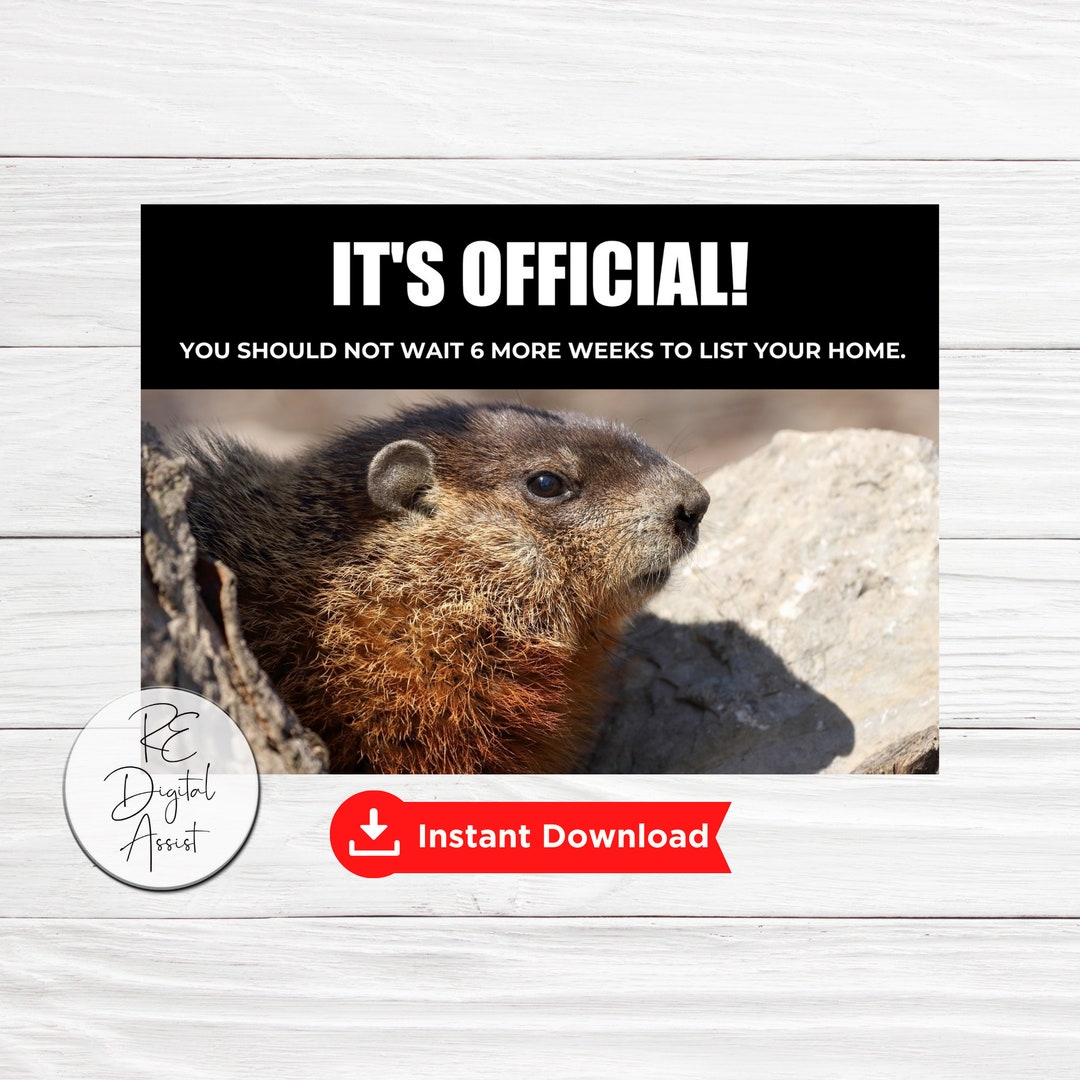 Groundhog Day Real Estate Postcard Front | February Seller Leads ...