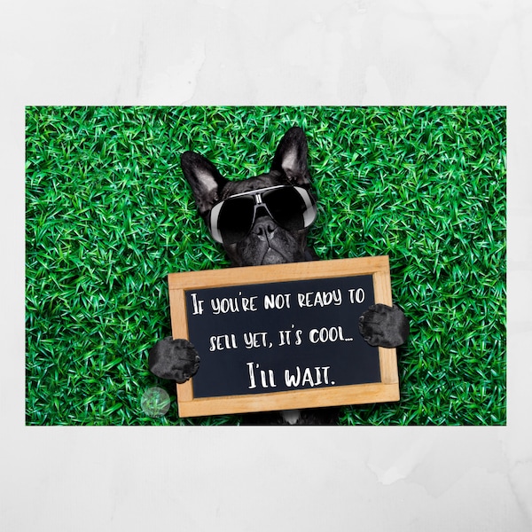 Dog Postcard - Etsy