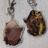Cheeky Frog Acrylic Keychain - Plain Epoxy Finish - Cute and Whimsical ...