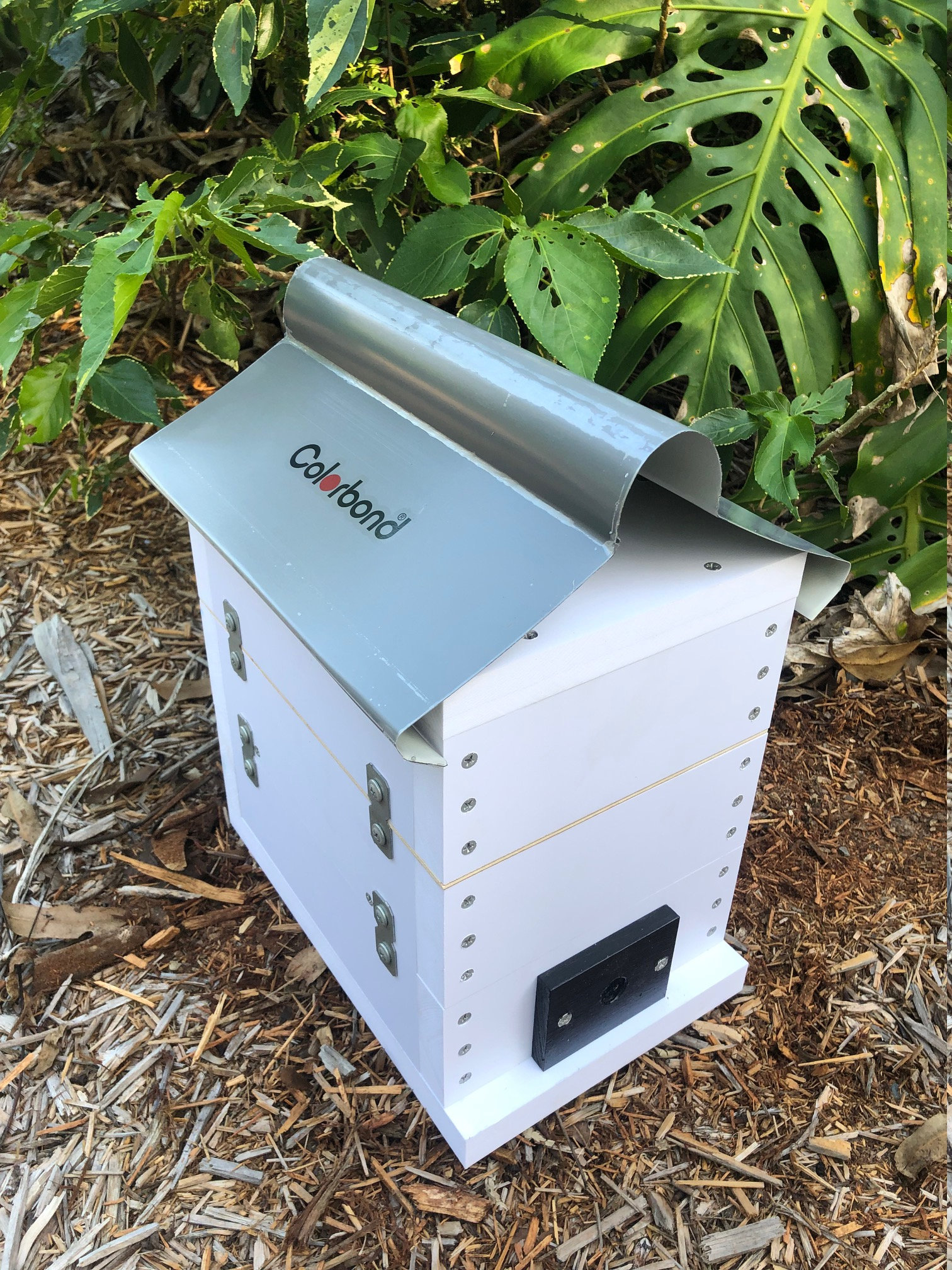 Honey Super Stingless Australian Native Beehive With Roof OATH Native ...