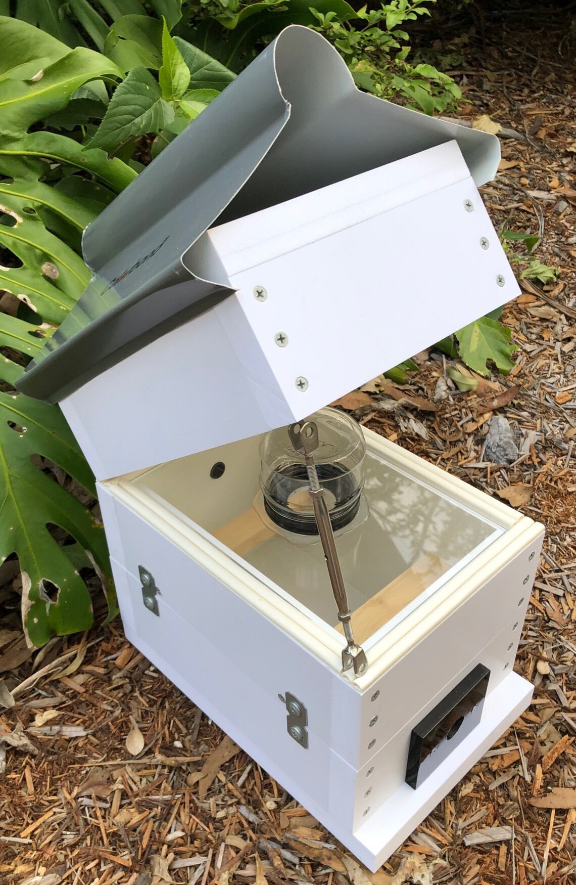 OATH Beehive Native Stingless Native Bee Hive Perspex Honey Jar With ...