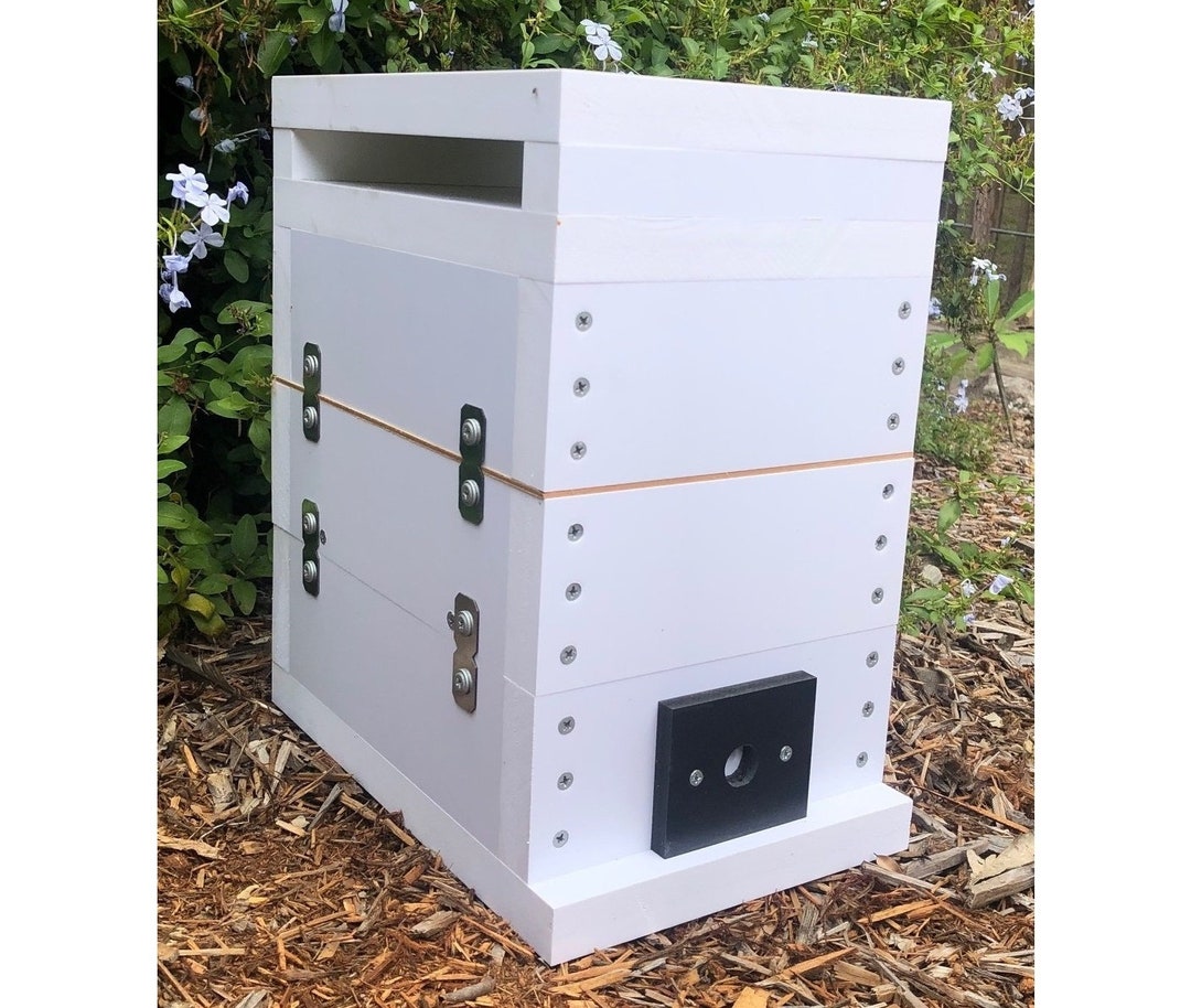 Native Bee Hive Honey Super Design With Tropical Roof Stingless OATH ...