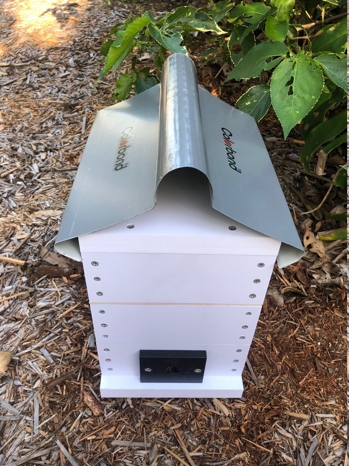 Honey Super Stingless Australian Native Beehive With Roof OATH Native ...