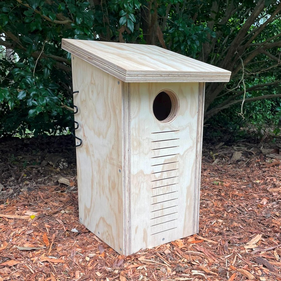 Ringtail Possum Habitat Nest Box Wildlife Nesting Fauna Tree Hollow ...