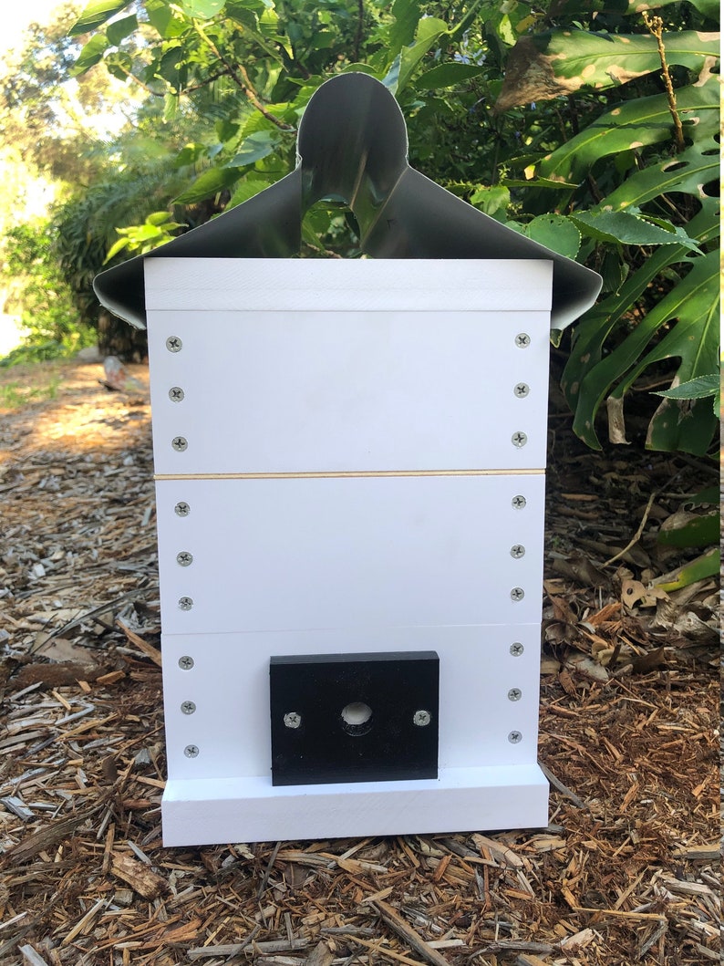 Honey Super Stingless Australian Native Beehive With Roof OATH Native ...