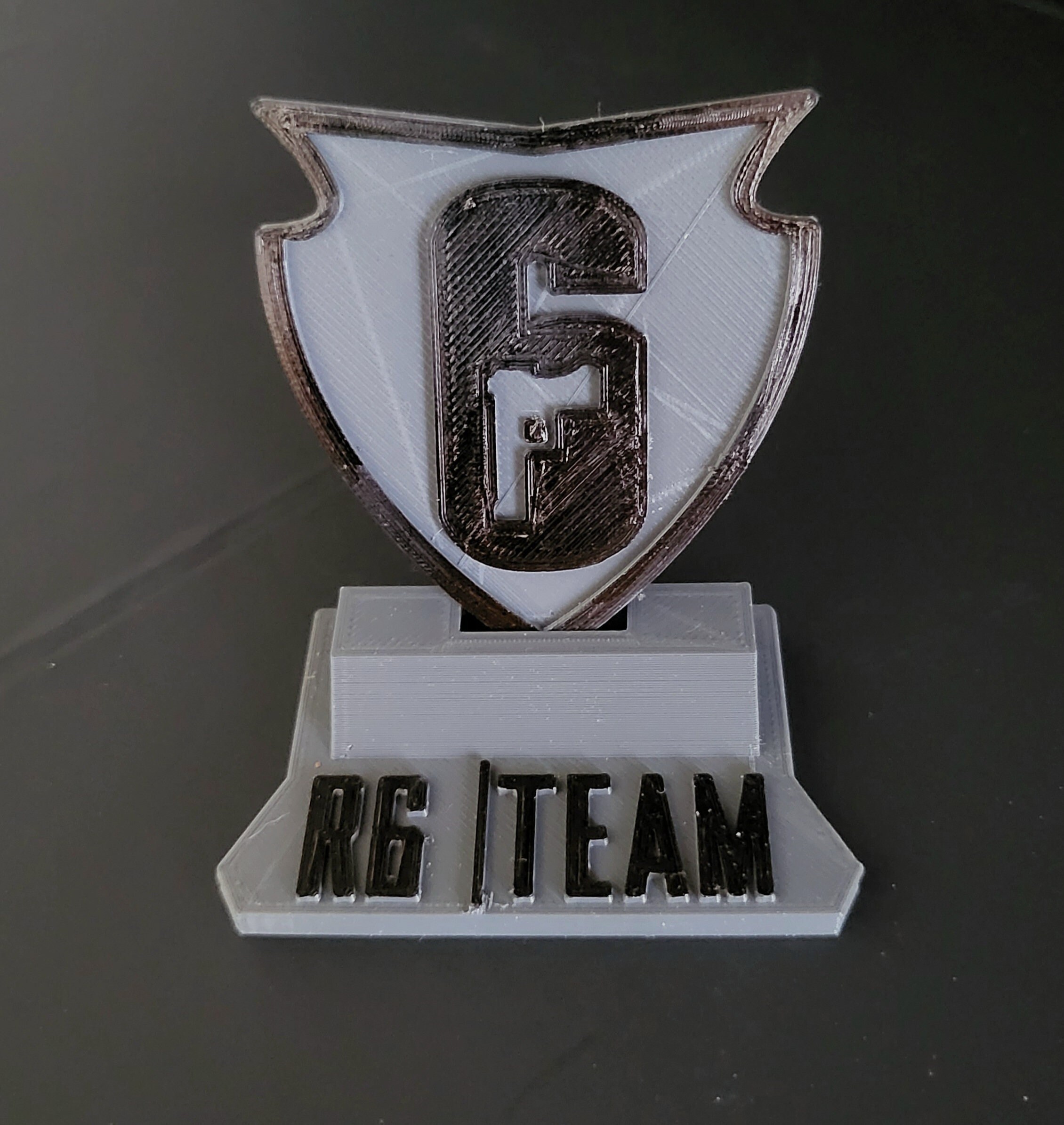 R6 Emblem - Etsy