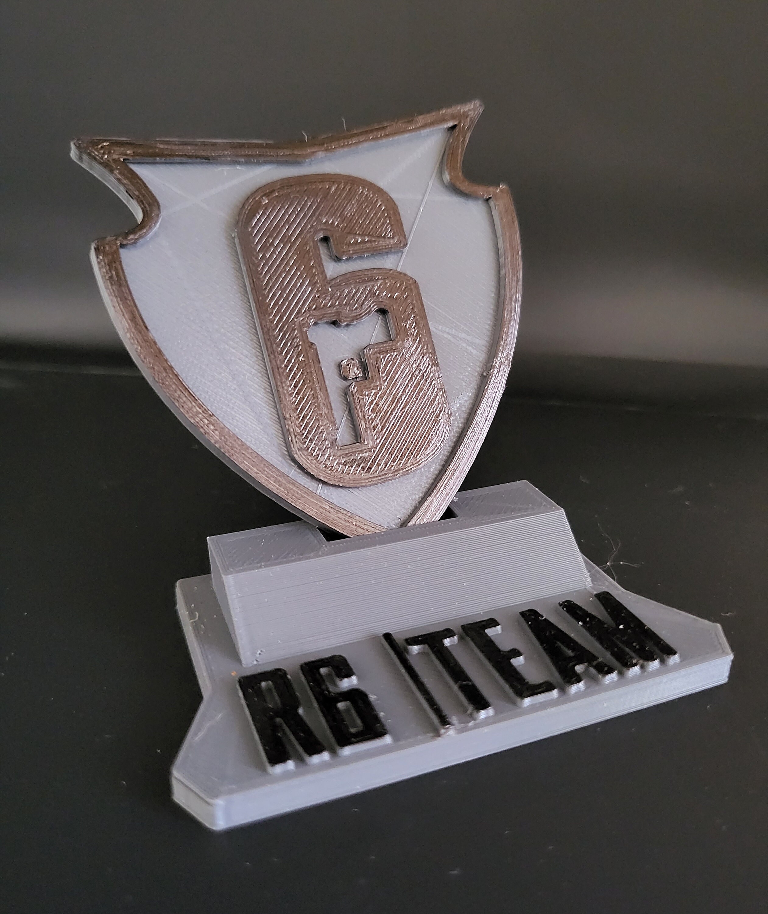 R6 Emblem - Etsy