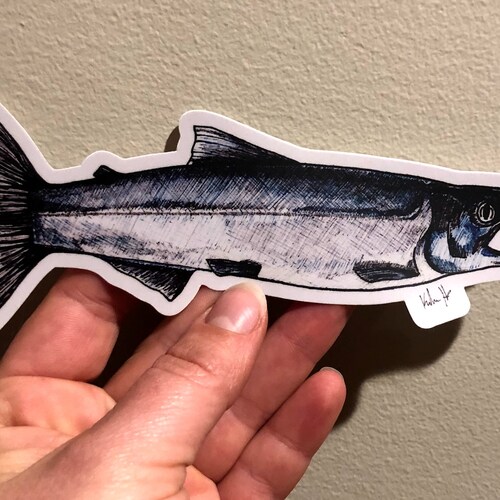 Alaska Salmon Vinyl Sticker - Etsy