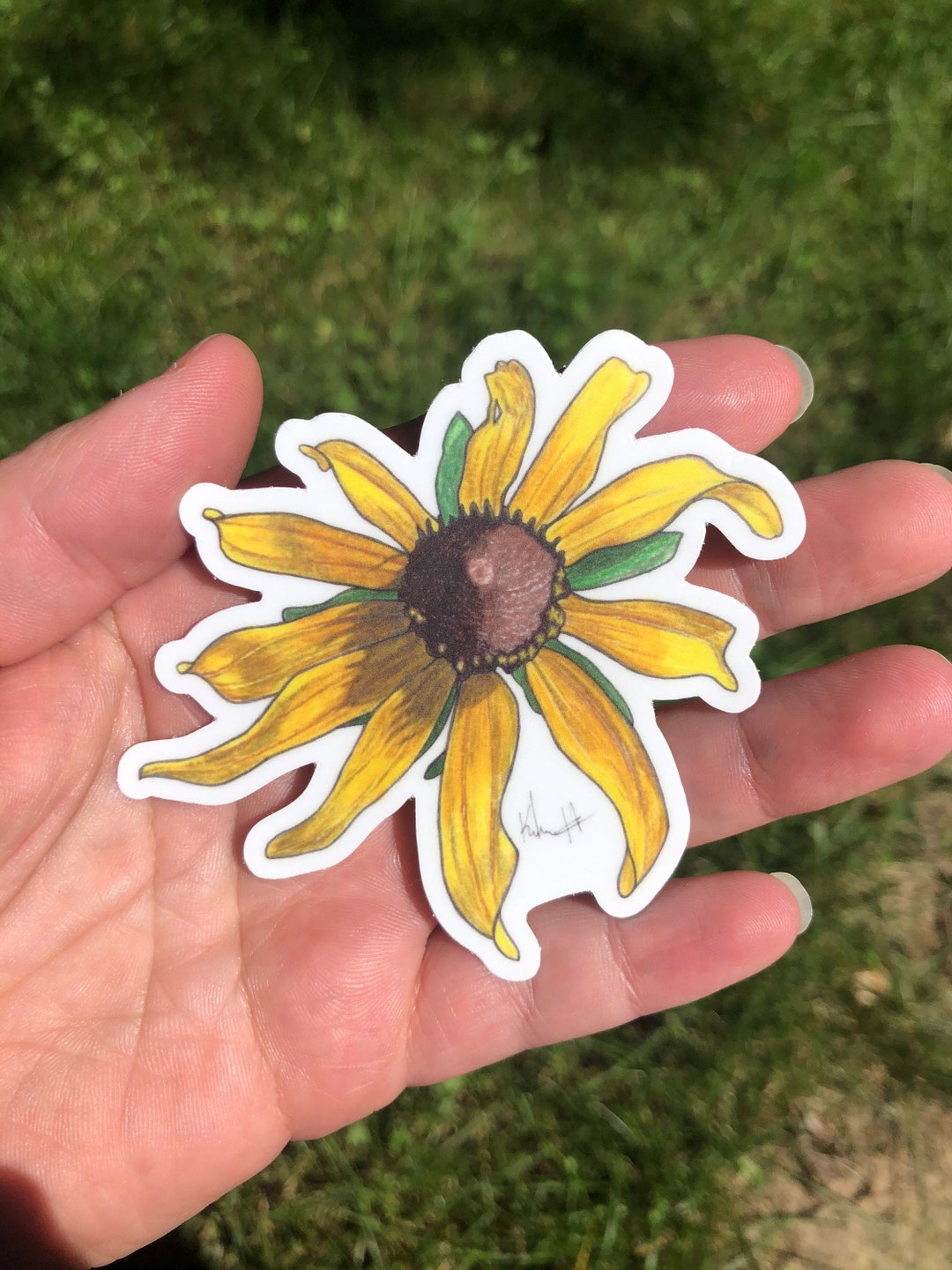 Black-eyed Susan Sticker - Etsy